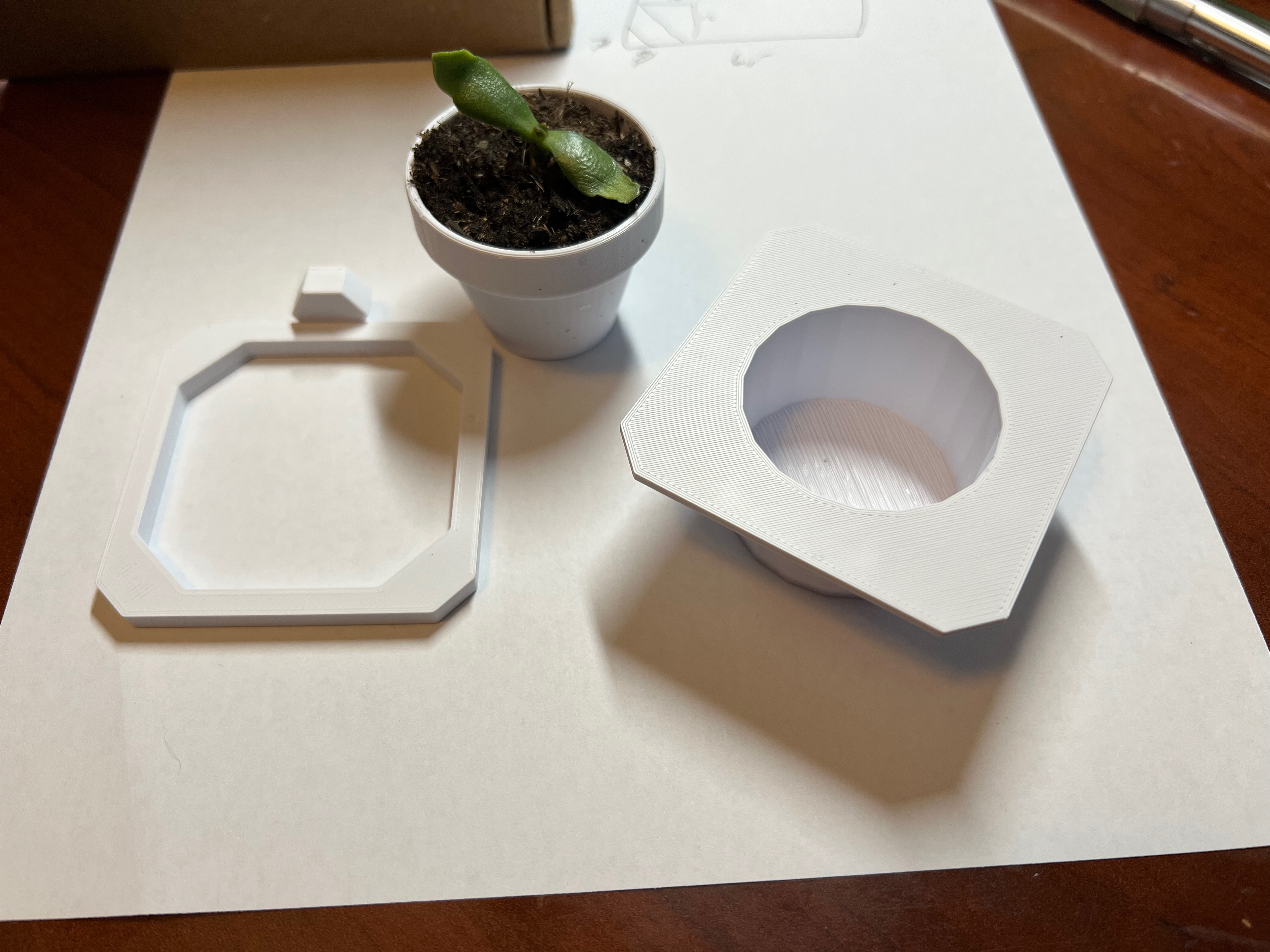 Monte Cup for Honeycomb Wall Planter Holder by sburggsx | Download free ...