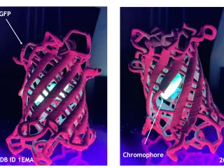A Proper Gfp Model By Marius Mihasan Download Free Stl Model