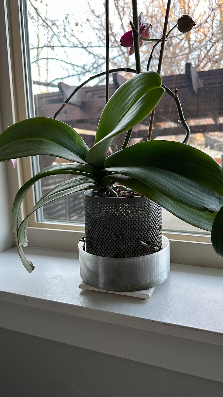5 and 6 inch custom Orchid Pots by blove | Download free STL model ...