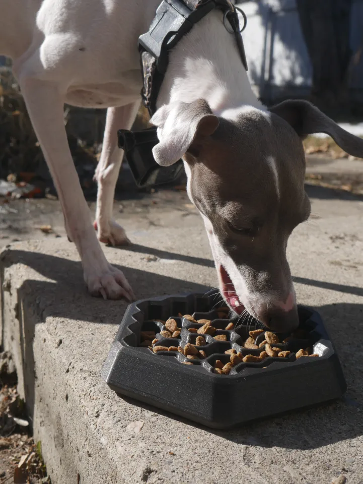 slow feed maze bowl for dogs/cats by WildRoseBuilds | Download free STL ...