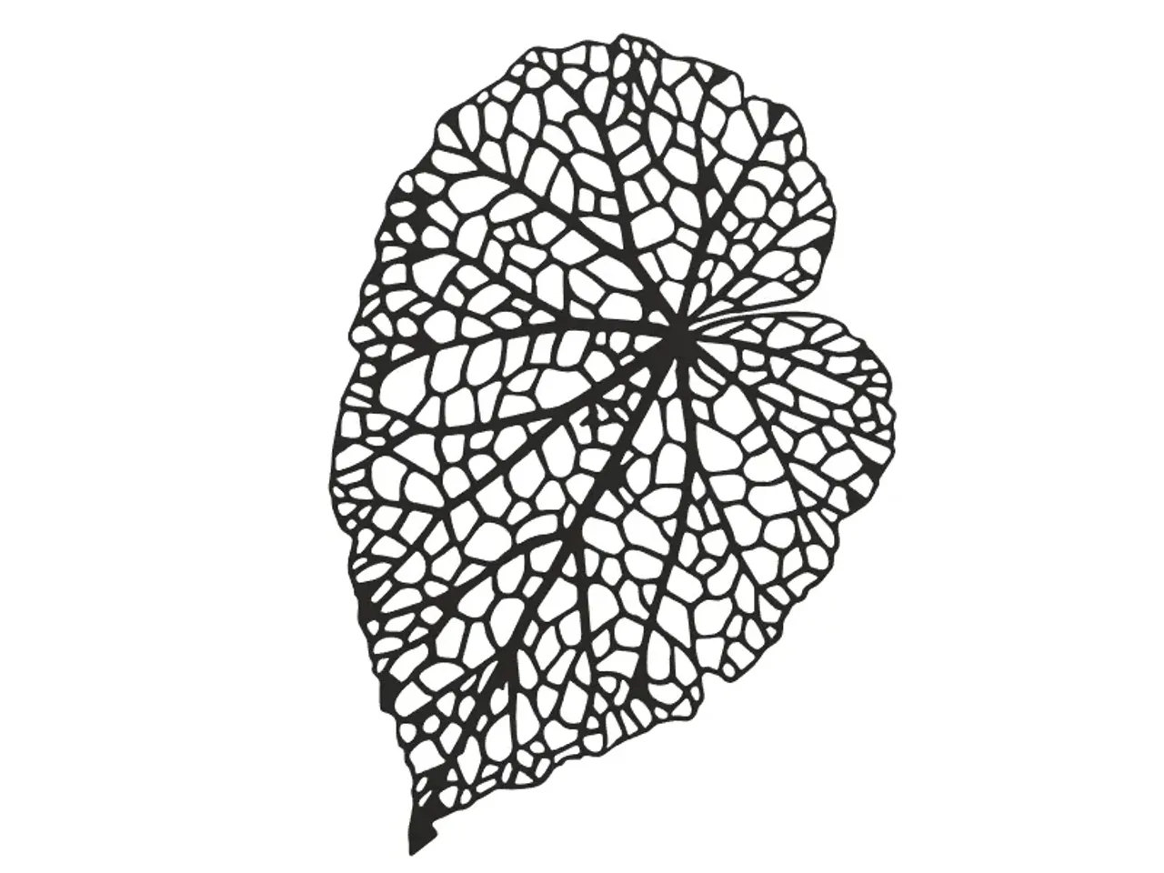 Leaf by Leonid Babarinow | Download free STL model | Printables.com