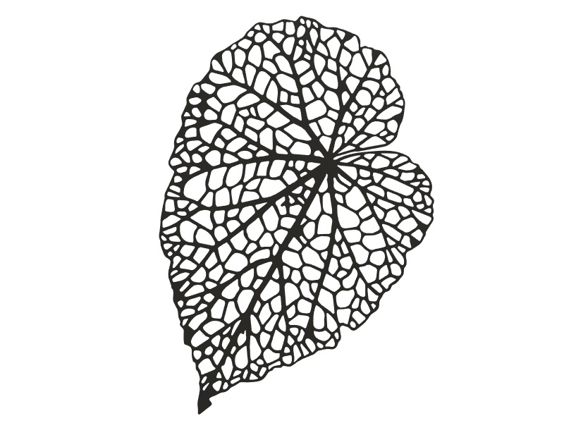 Leaf by Leonid Babarinow | Download free STL model | Printables.com Leaf by Leonid Babarinow | Download free STL model | Printables.com