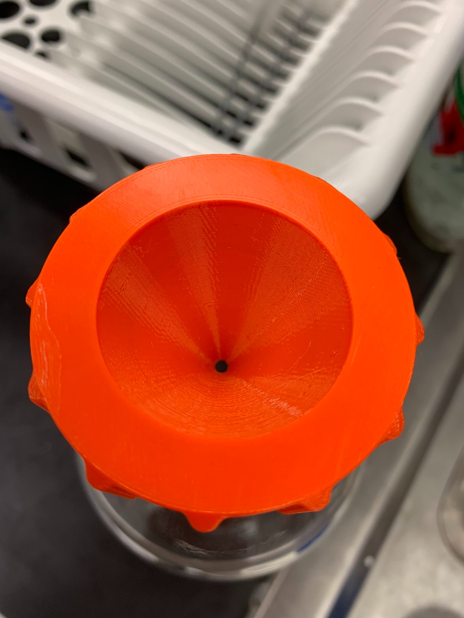 Fly (Drosophila) trap cap for standard GL45 lab bottles por Robert ...