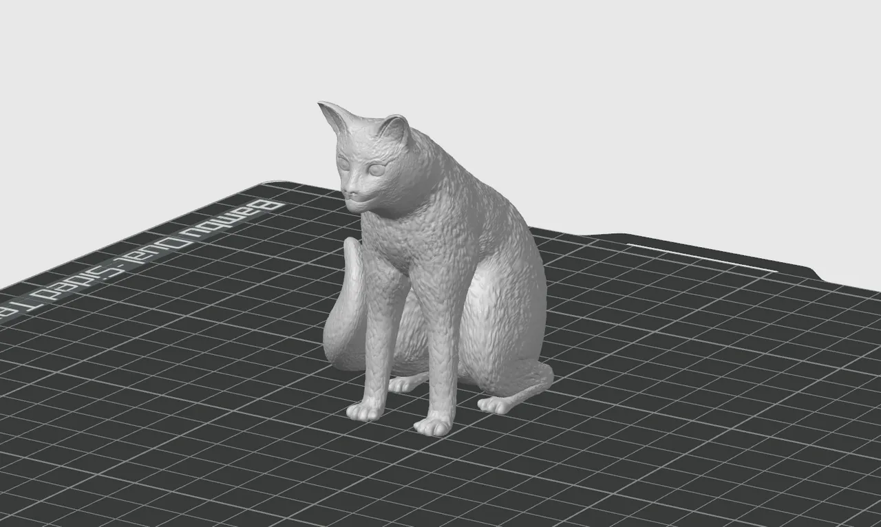 Cat by markury | Download free STL model | Printables.com