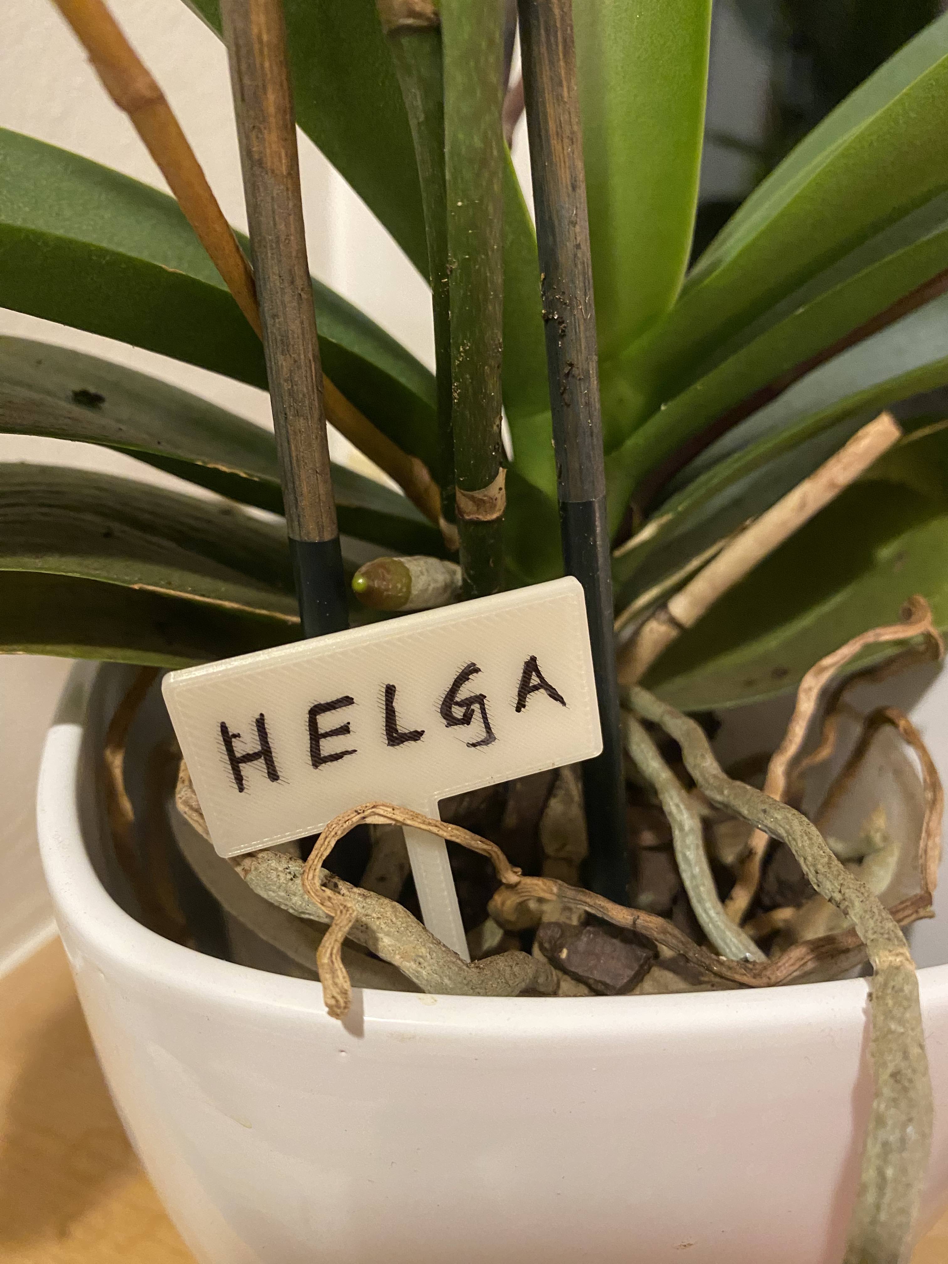 Plant Sign by mtze | Download free STL model | Printables.com