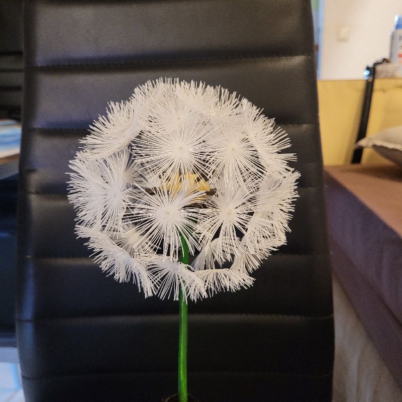 Dandelion by DWorkshop | Download free STL model Dandelion by DWorkshop | Download free STL model