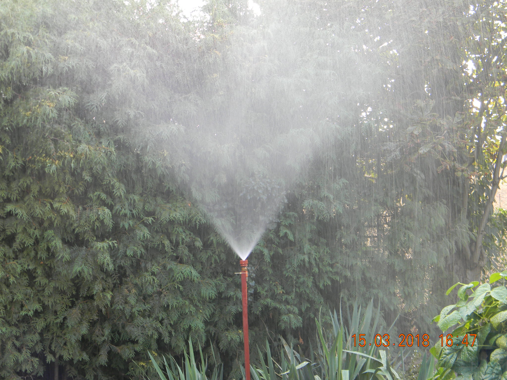 Einfacher Regner by 3DPNoob | Download free STL model | Printables.com