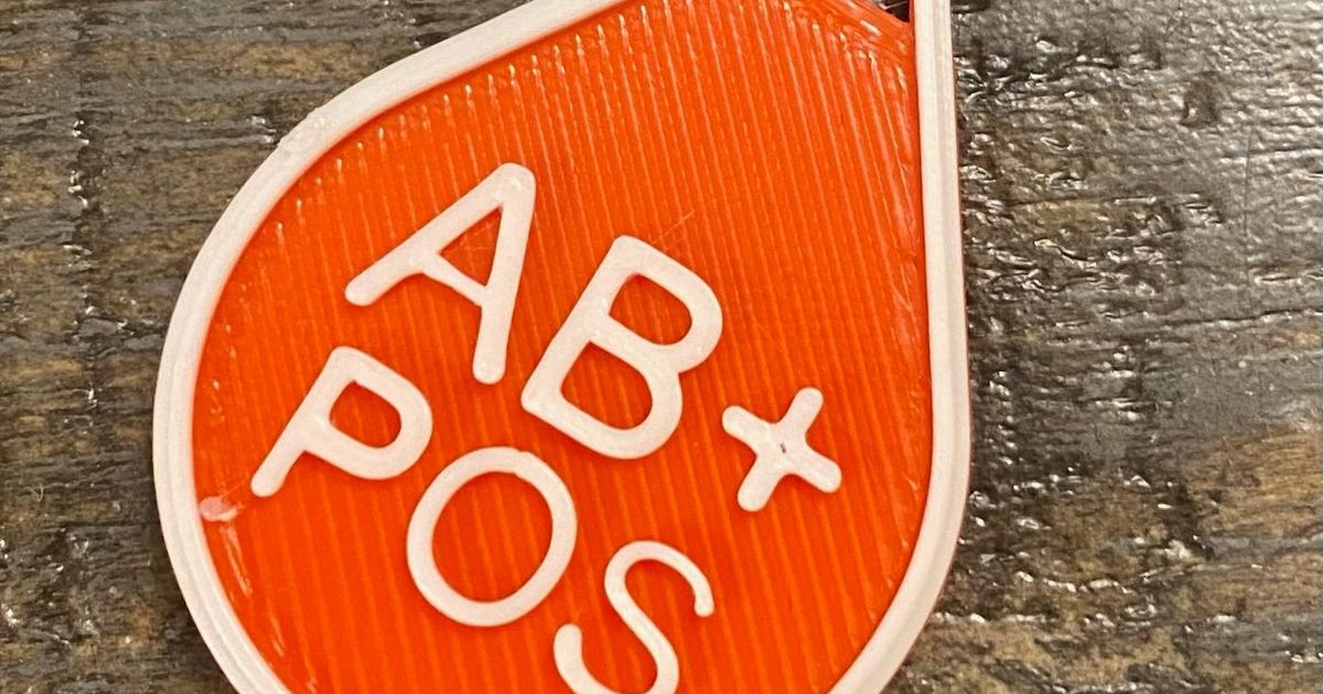 Blood Type Keychain by Mack | Download free STL model | Printables.com