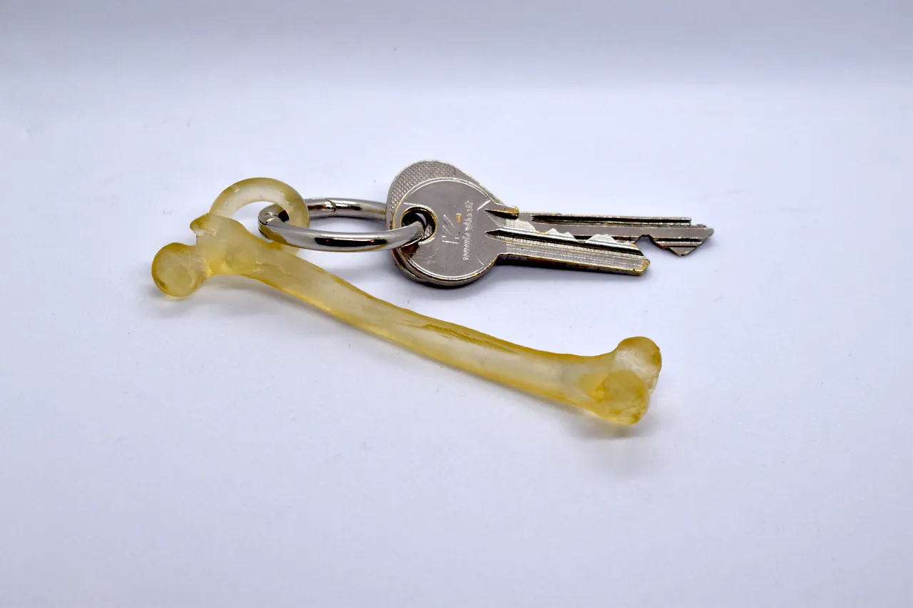 Femur Keychain by KubiV | Download free STL model | Printables.com