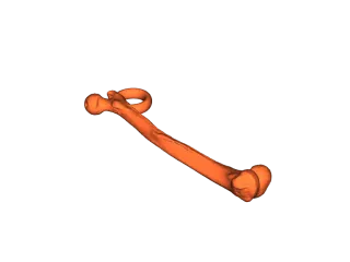 Femur Keychain by KubiV | Download free STL model | Printables.com