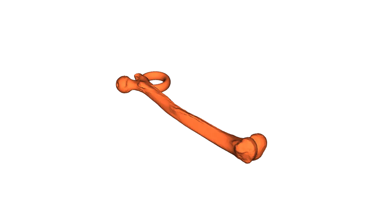 Femur Keychain by KubiV | Download free STL model | Printables.com