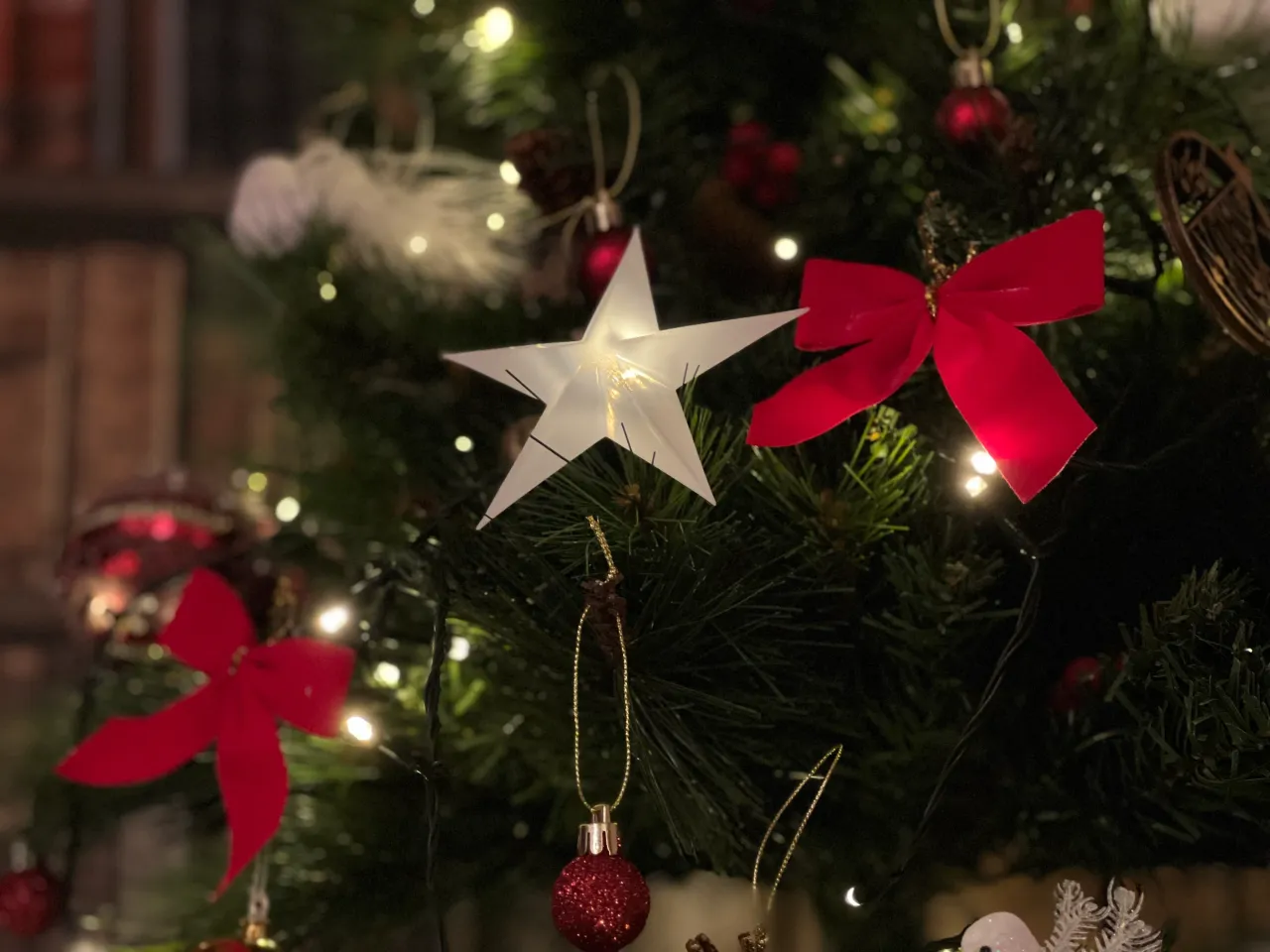 Simple Christmas Star - Fast Print (Vase Mode) by Shay | Download free ...