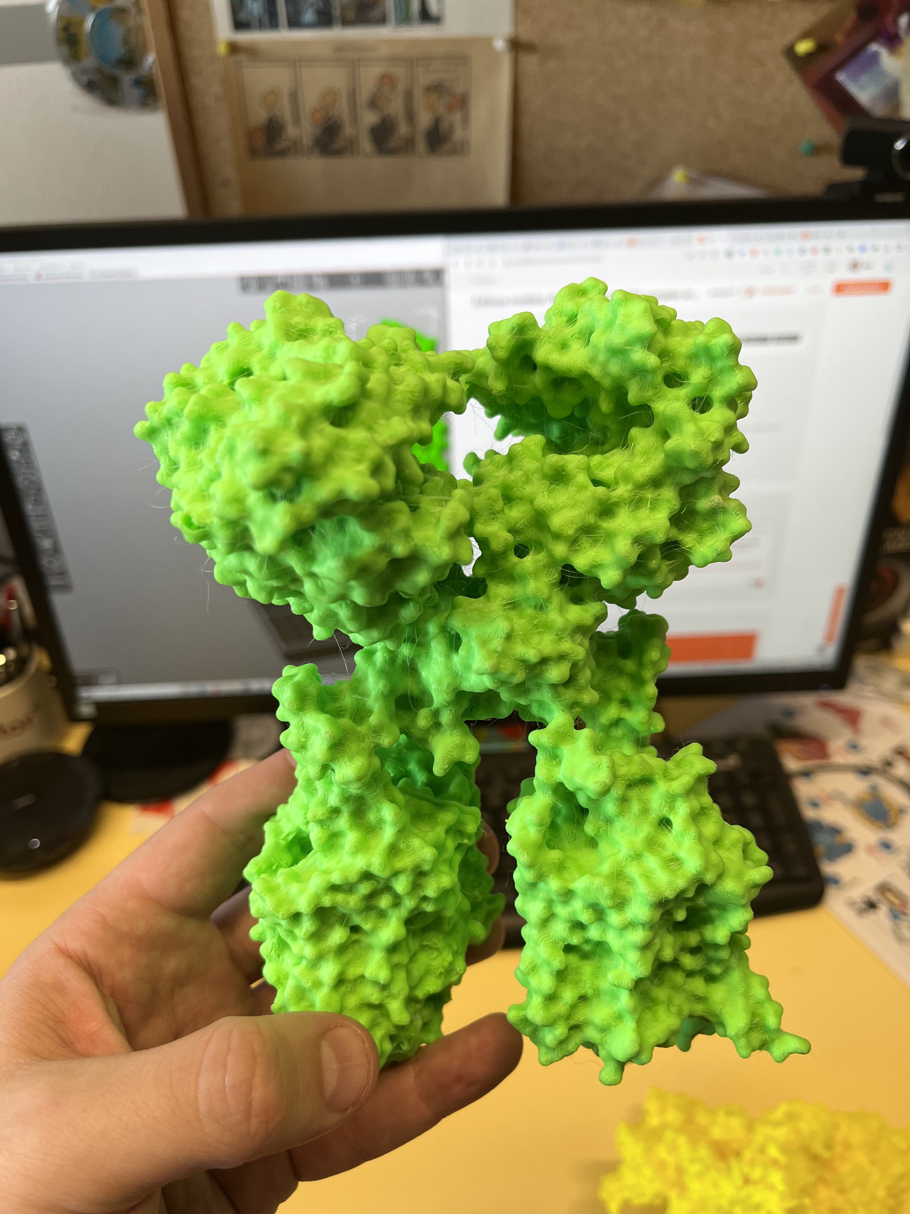 Human ACE2/B0AT1 complex - optionally with S protein from SARS-CoV-2 by ...