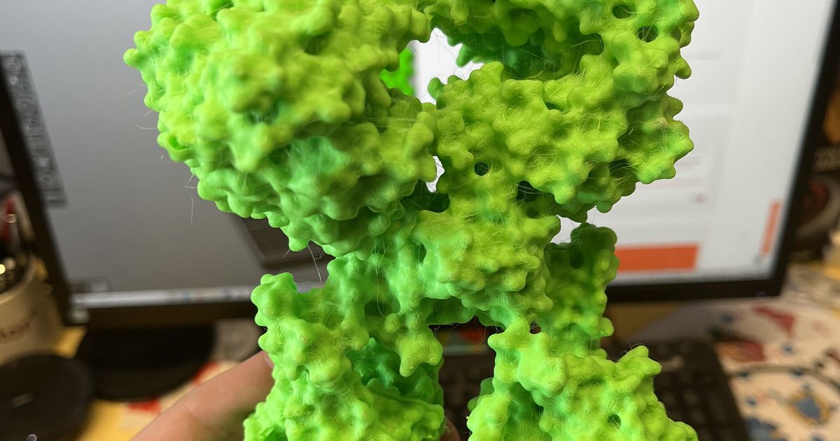 Human ACE2/B0AT1 complex - optionally with S protein from SARS-CoV-2 by ...