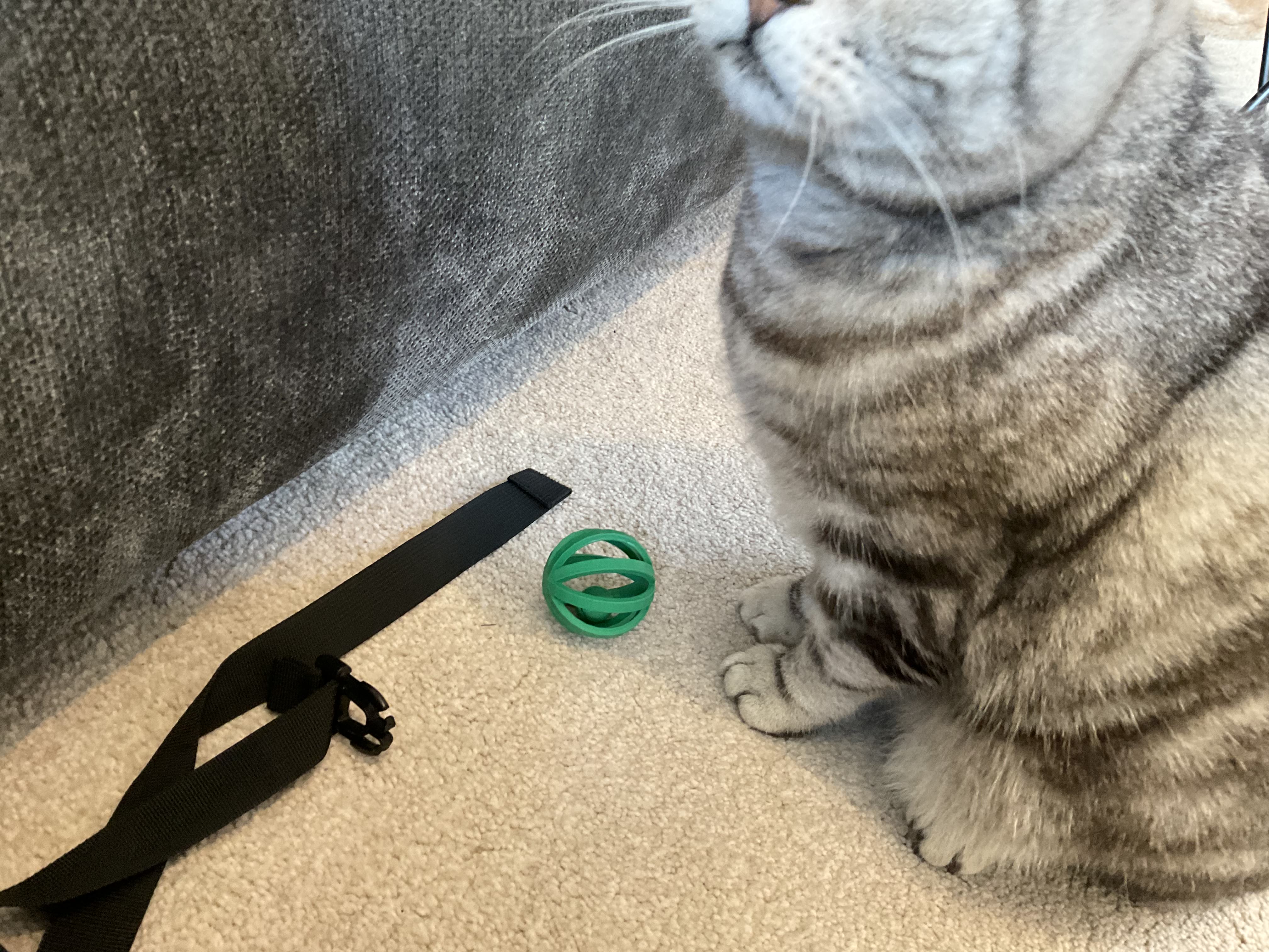 Simple Cat Toy by Suspici0us Stew | Download free STL model ...