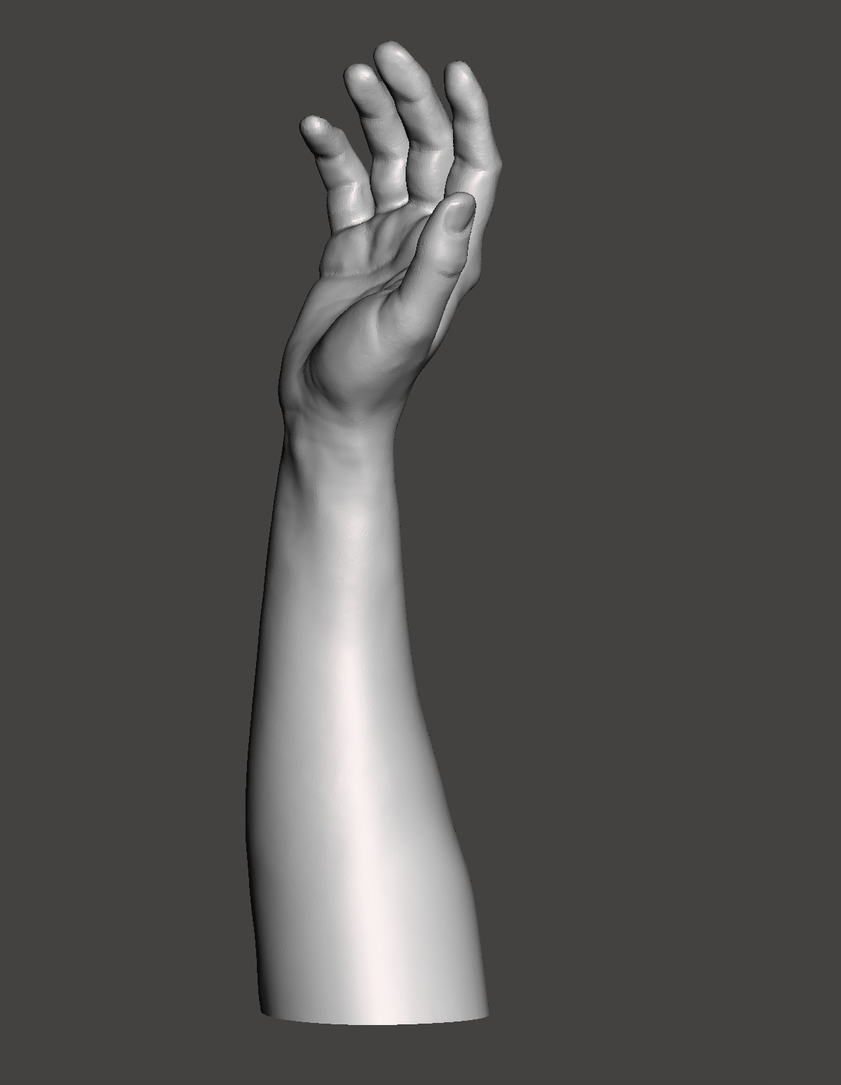 Hand and forearm natural position (Scan) by Theebadge | Download free ...