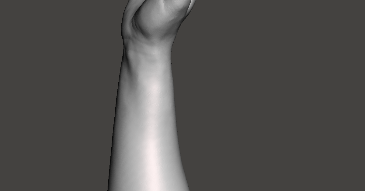 Hand and forearm natural position (Scan) by Theebadge | Download free STL model | Printables.com