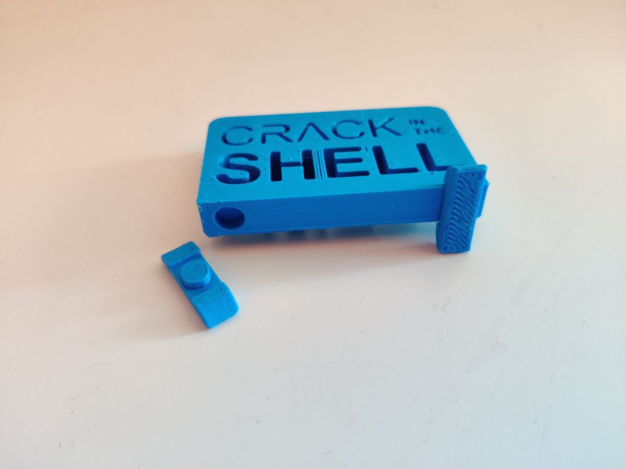 Crack in the Shell trophy by Tch1b0 | Download free STL model ...