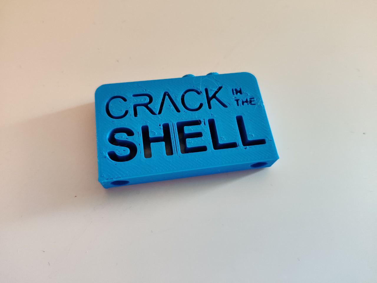 Crack in the Shell trophy by Tch1b0 | Download free STL model ...