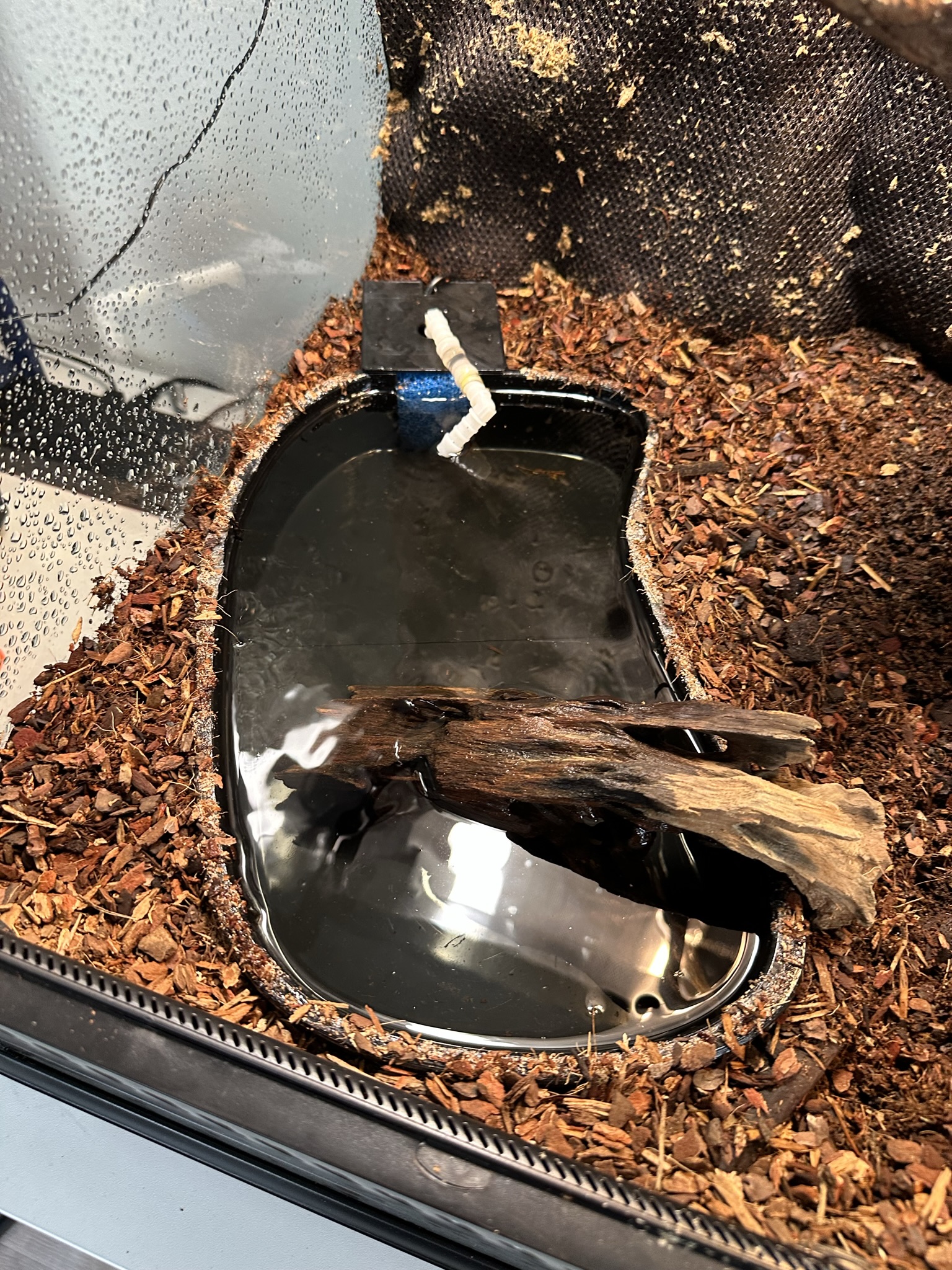 Terrarium pool with filter chamber by Andreas | Download free STL model ...