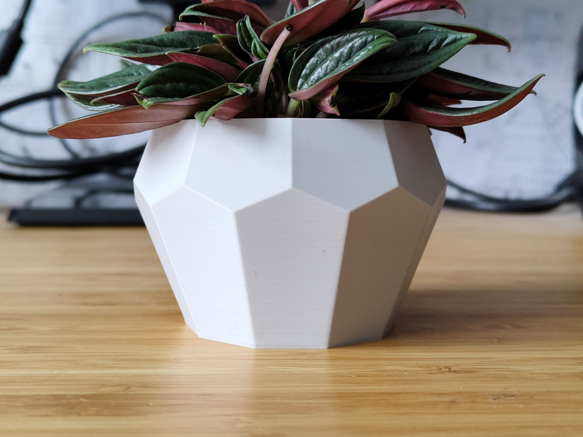 Tall Geometrical Bonsai Pot and planter by SASSy Design | Download free ...