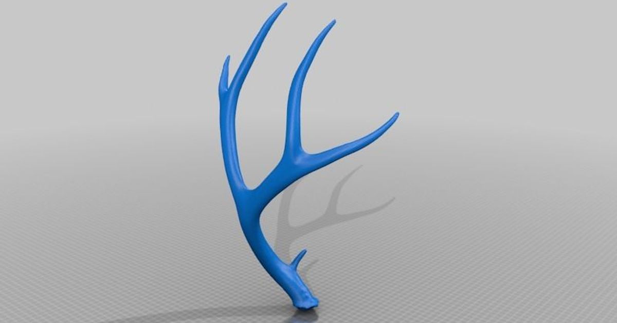 Deer Antler, hi resolution scan por billyd | Descargar modelo STL ...