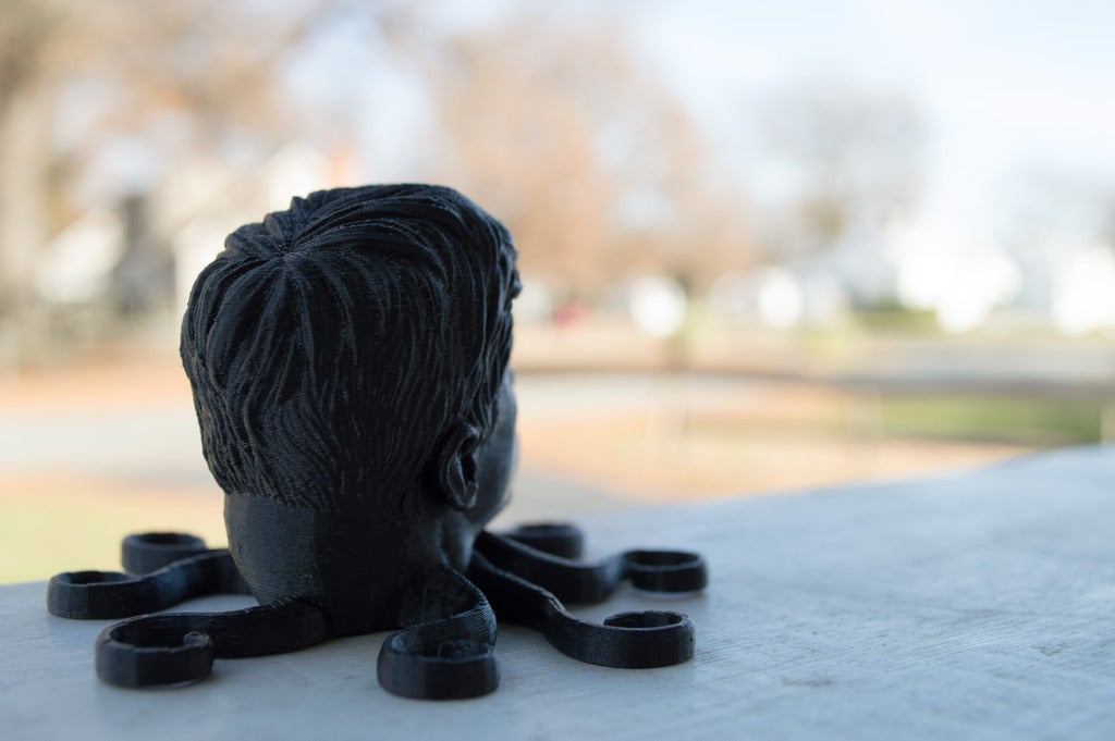 Obligatory 'Face-on-an-Animal-Magnet' Model by Andrew_Sink | Download ...