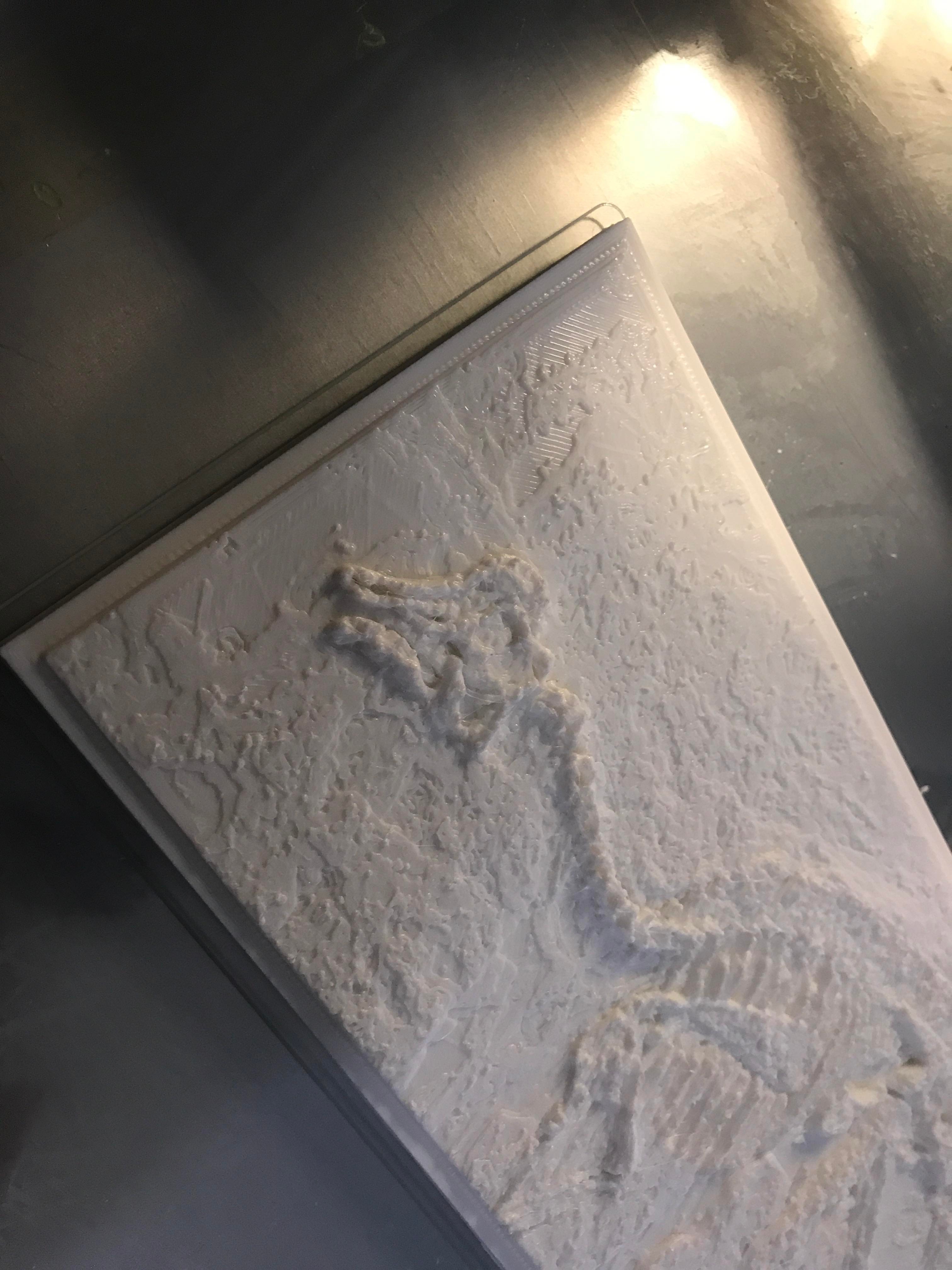 dino fossil Relief litho by MattGerman | Download free STL model ...