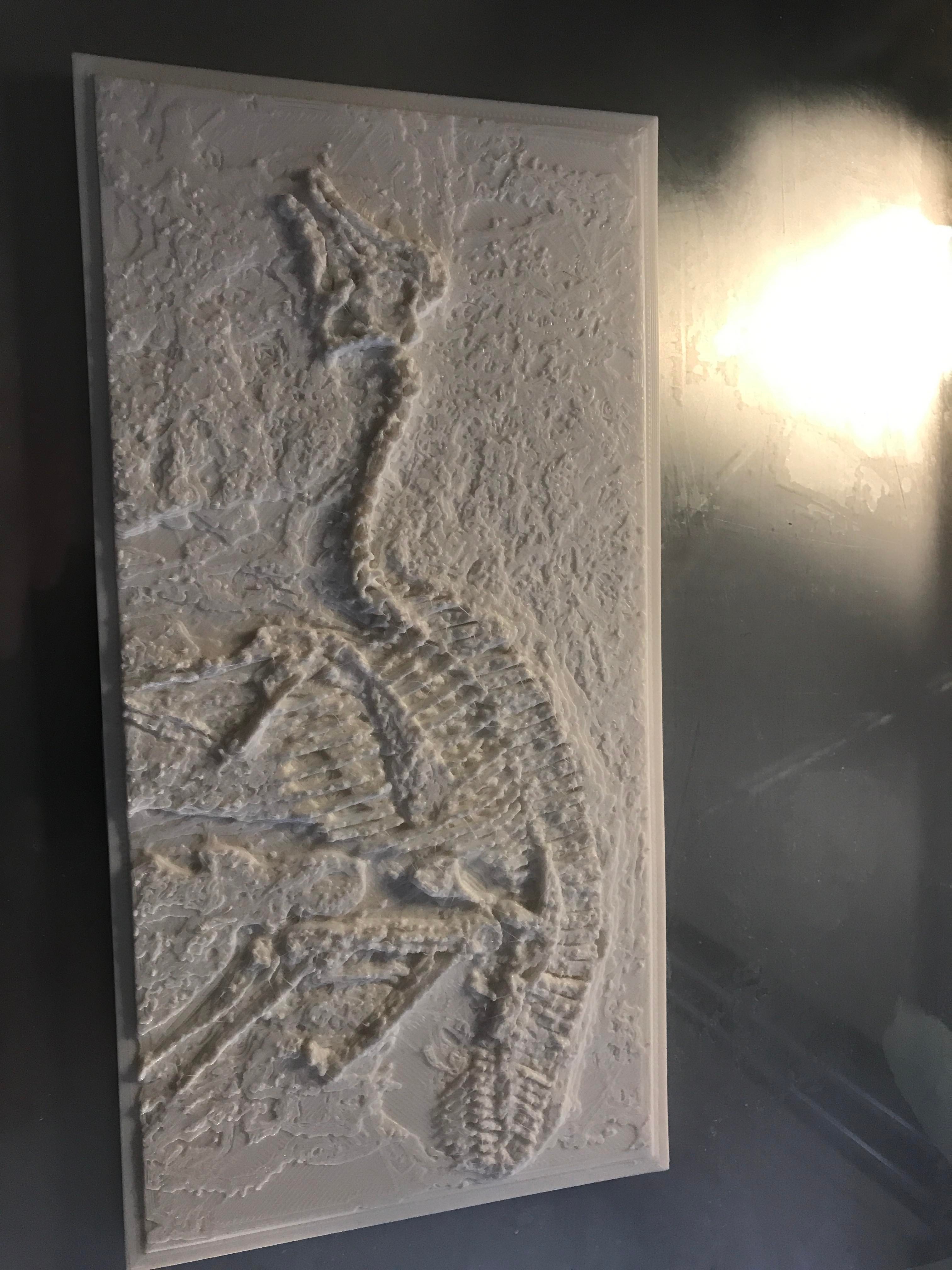 dino fossil Relief litho by MattGerman | Download free STL model ...