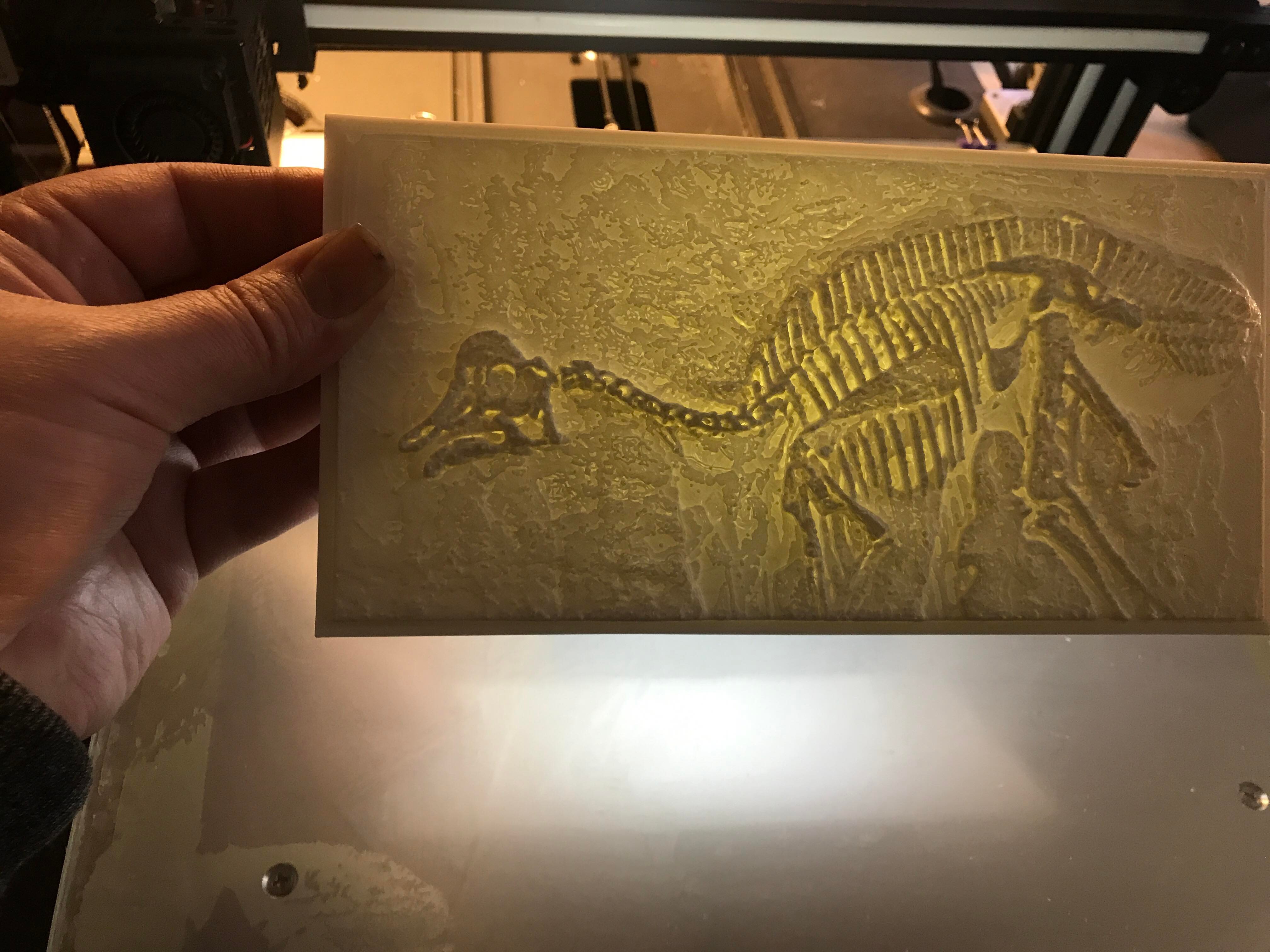 dino fossil Relief litho by MattGerman | Download free STL model ...
