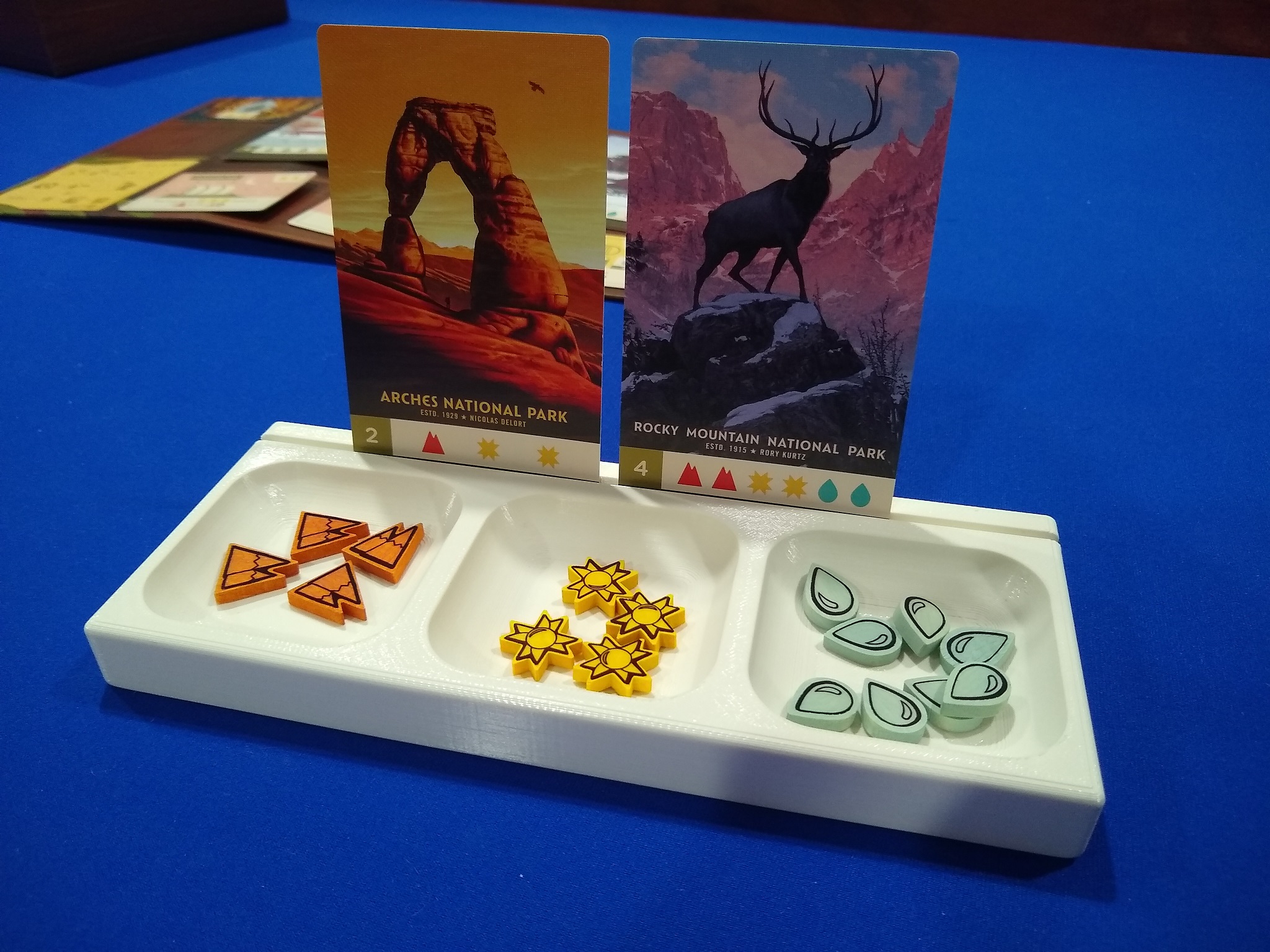 Token Card Holder by Rogue Pirin | Download free STL model | Printables.com