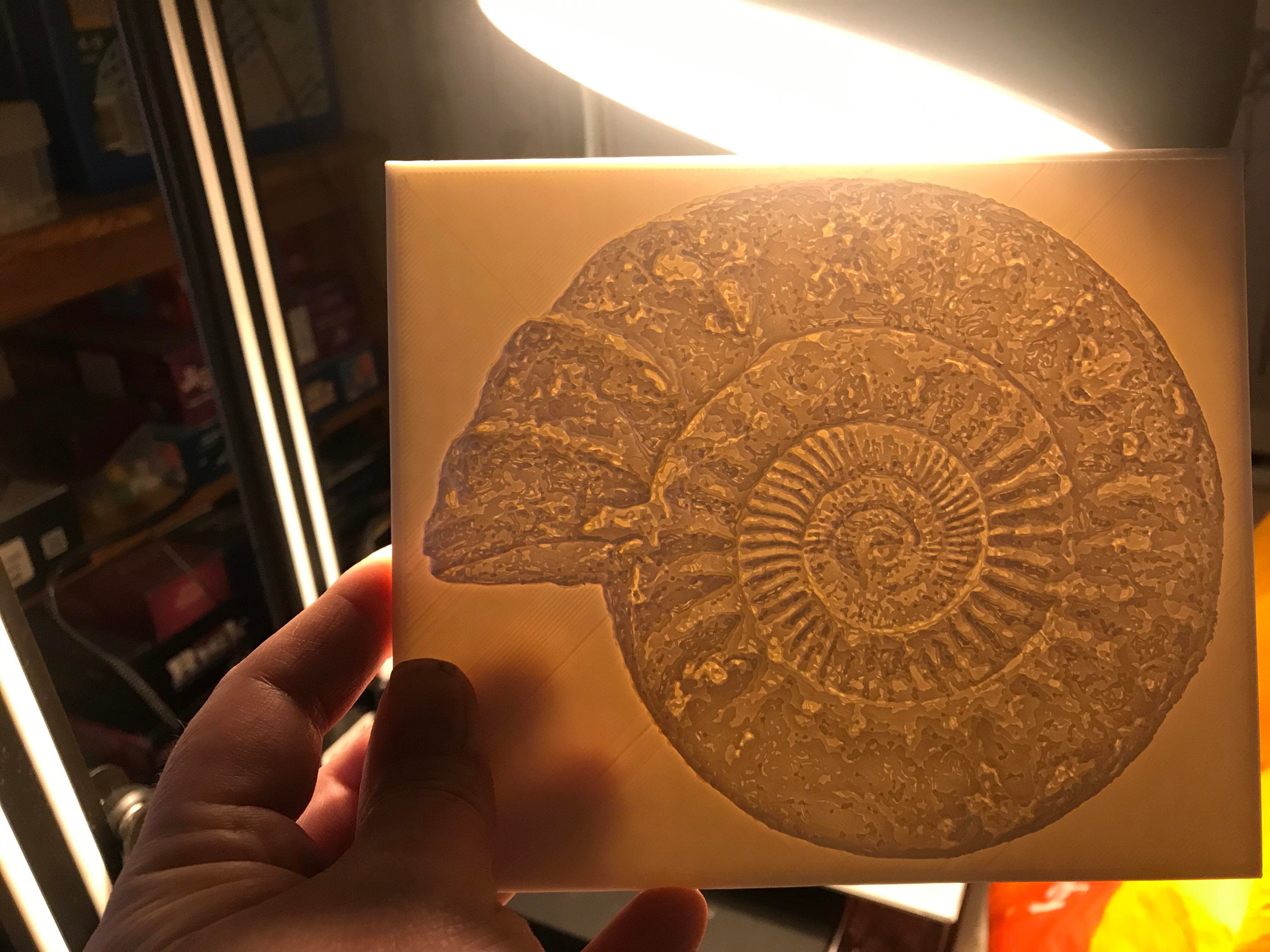 dino fossil Relief litho by MattGerman | Download free STL model ...