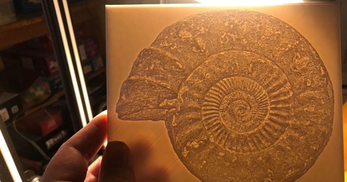 dino fossil Relief litho by MattGerman | Download free STL model ...