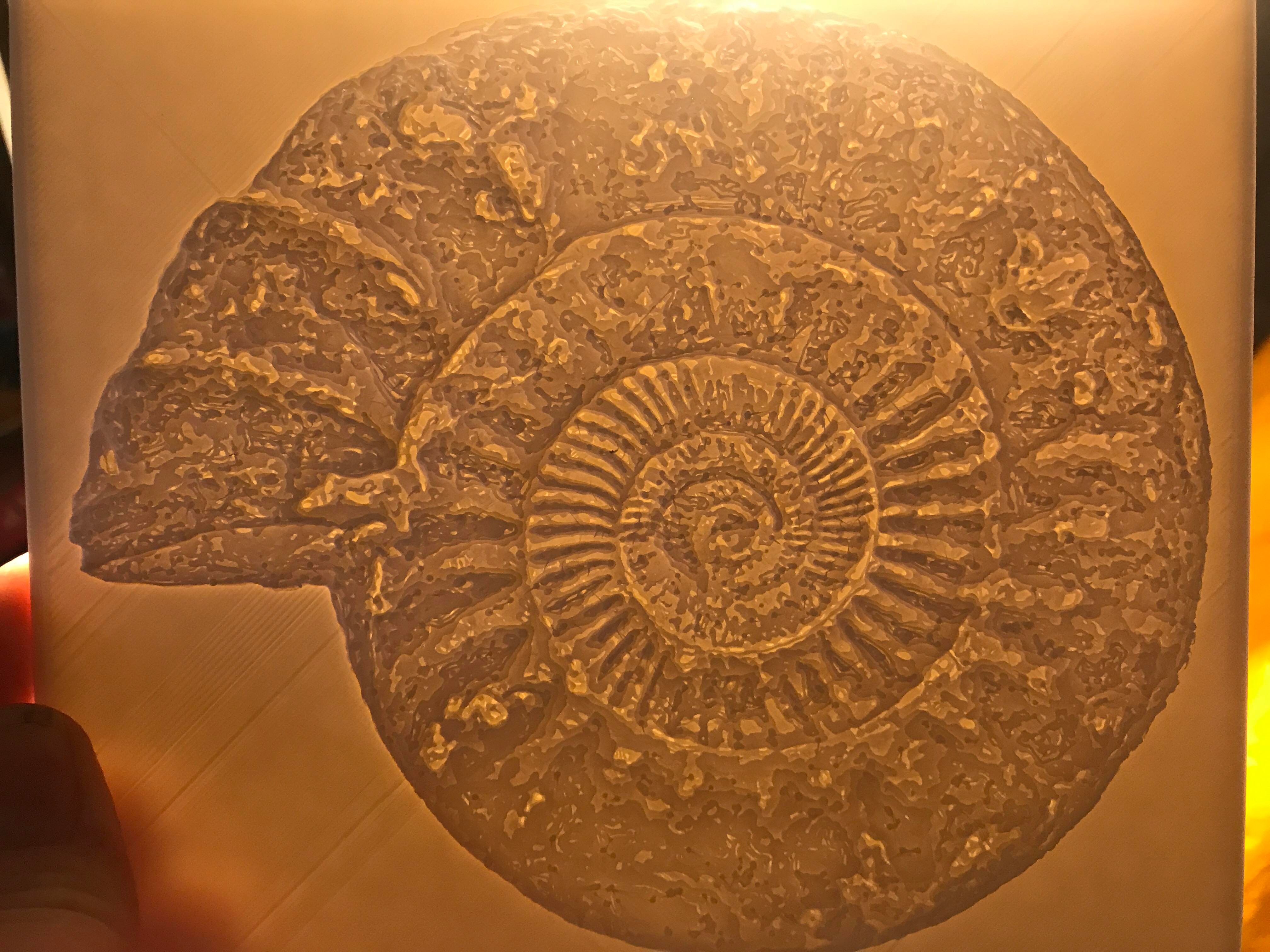 dino fossil Relief litho by MattGerman | Download free STL model ...