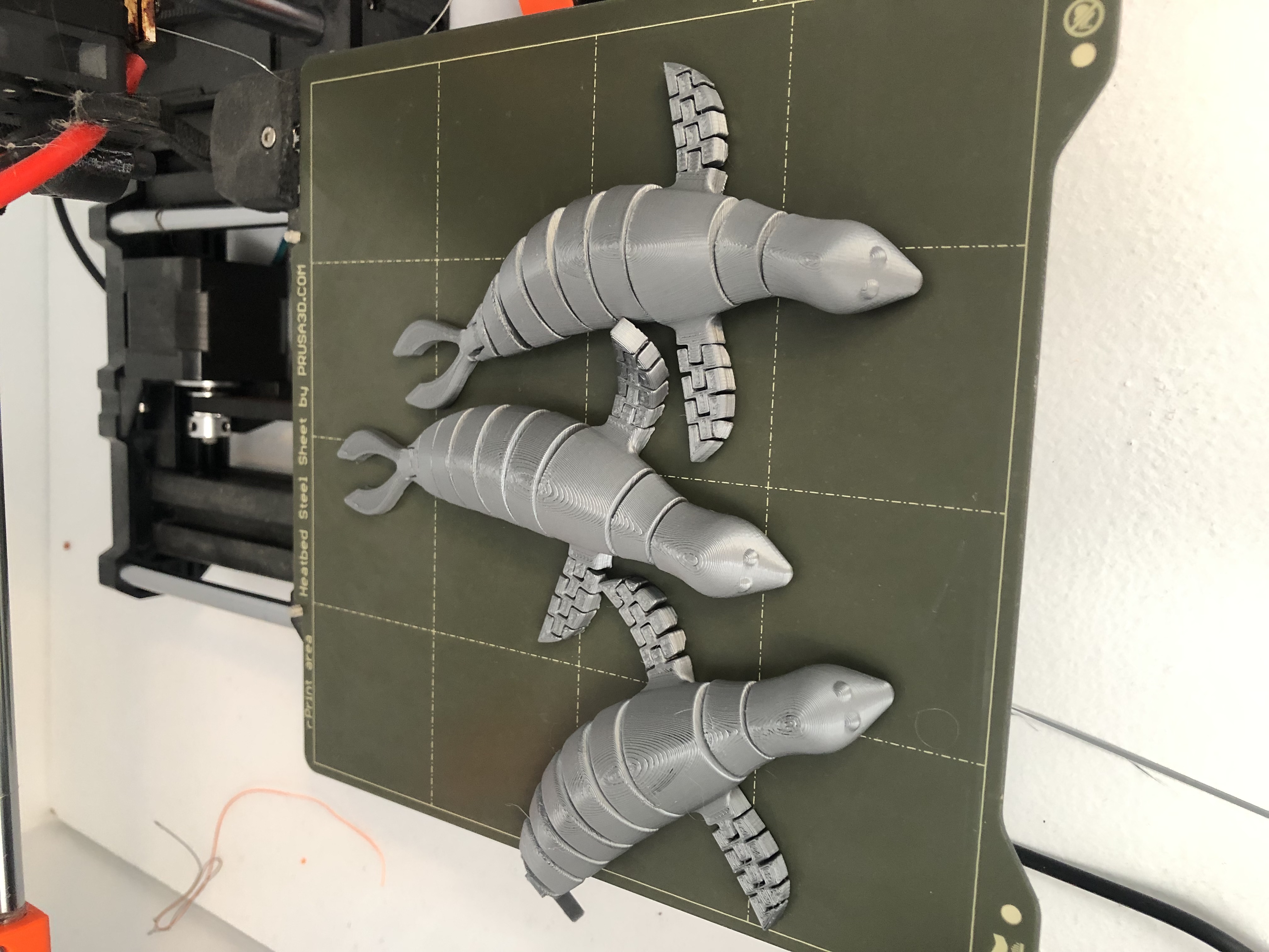 ARTICULATED SEAL by Print Ninja | Download free STL model | Printables.com