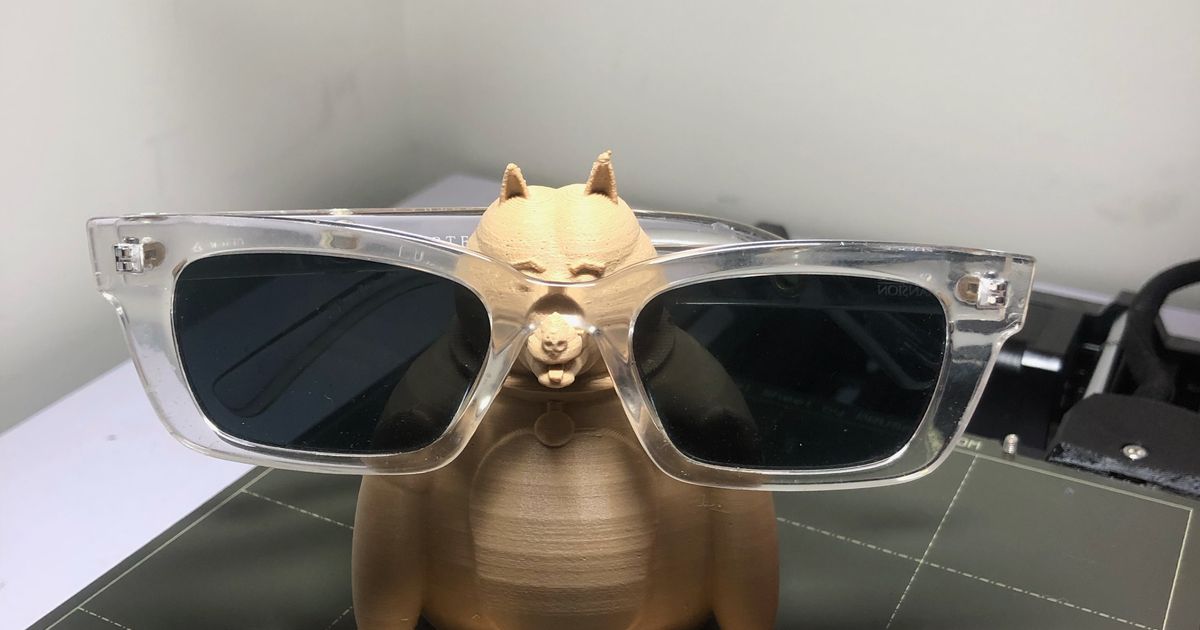 Sunglass Buddy by moonsasquatch | Download free STL model | Printables.com