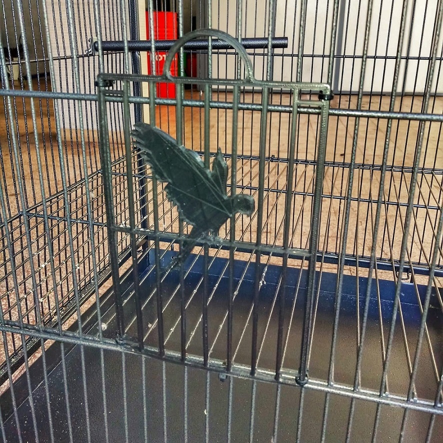 Bird cage door by dantech | Download free STL model | Printables.com