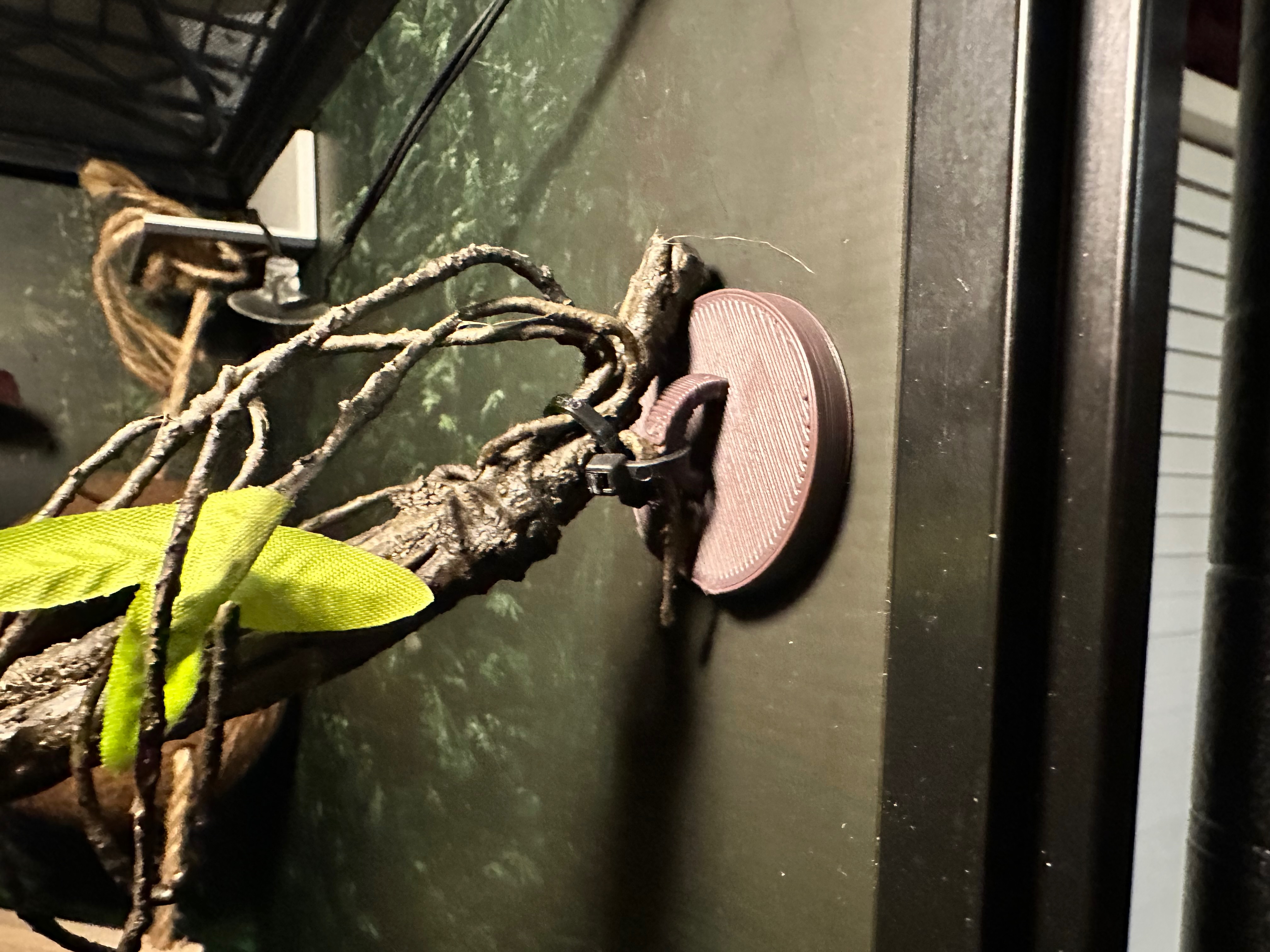 Magnetic terrarium decor holders by Julian | Download free STL model ...