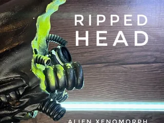 Xenomorph Trophy by Grafit | Download free STL model | Printables.com