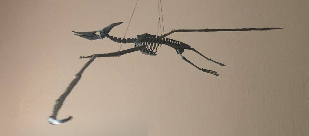 Pteranodon Skeleton by rowiac | Download free STL model | Printables.com