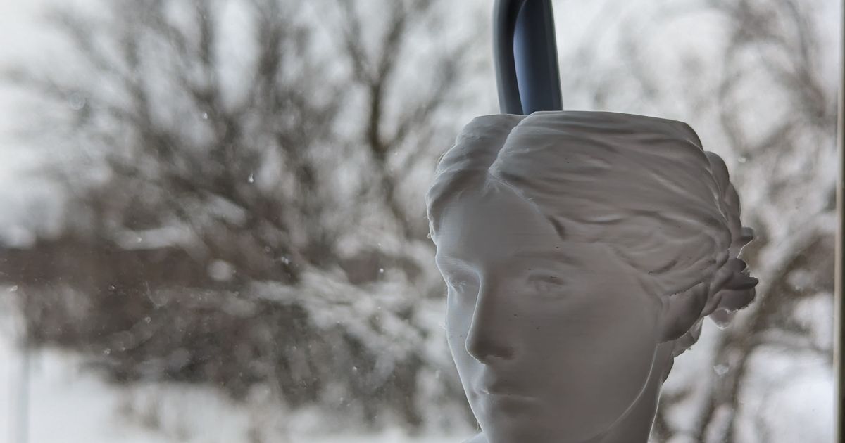 Bust of Rozy_Loewenfeld Remixed Into a Container by Judasuffocated ...