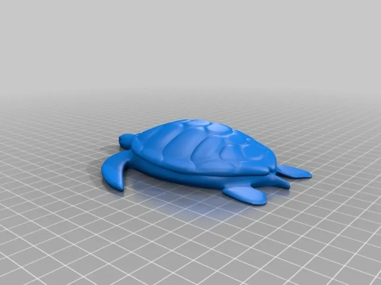 Sea Turtle by Tohmis | Download free STL model | Printables.com