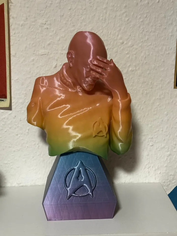 Facepalm Picard by Teambreak | Download free STL model | Printables.com