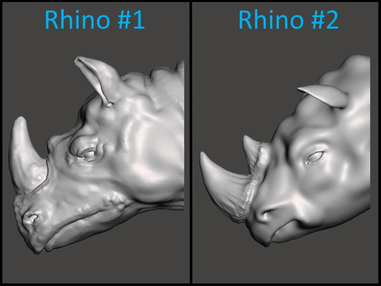 Rhino x2 by UWcharlie1983 | Download free STL model | Printables.com