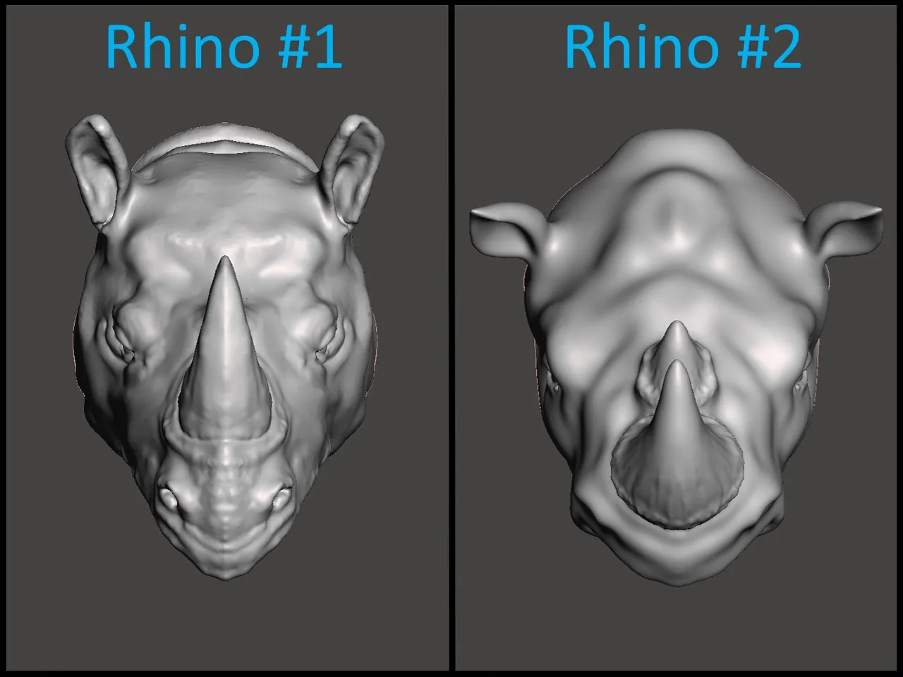 Rhino x2 by UWcharlie1983 | Download free STL model | Printables.com
