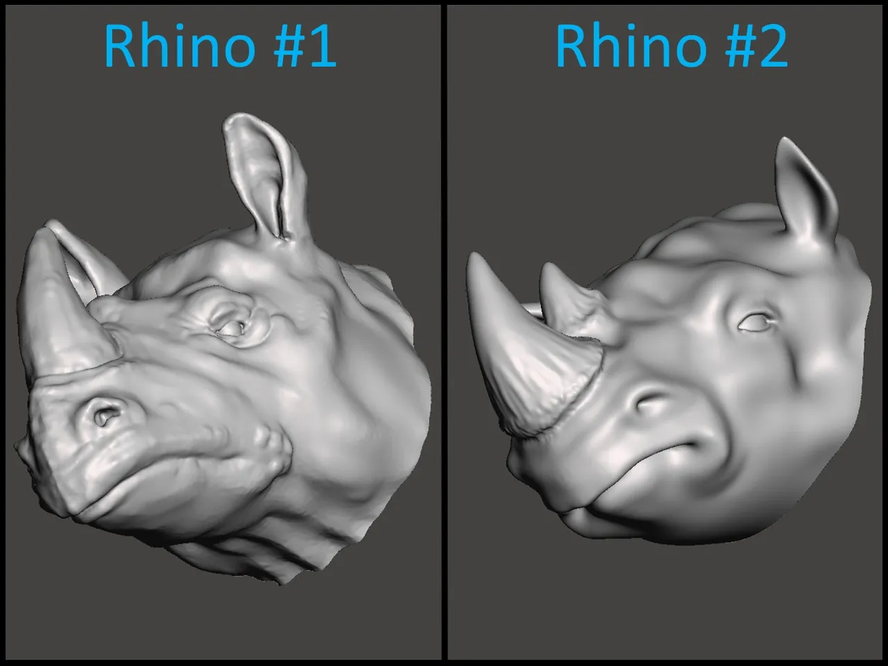 Rhino x2 by UWcharlie1983 | Download free STL model | Printables.com
