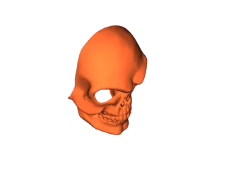 Skeletor mask by medyk3D | Download free STL model | Printables.com