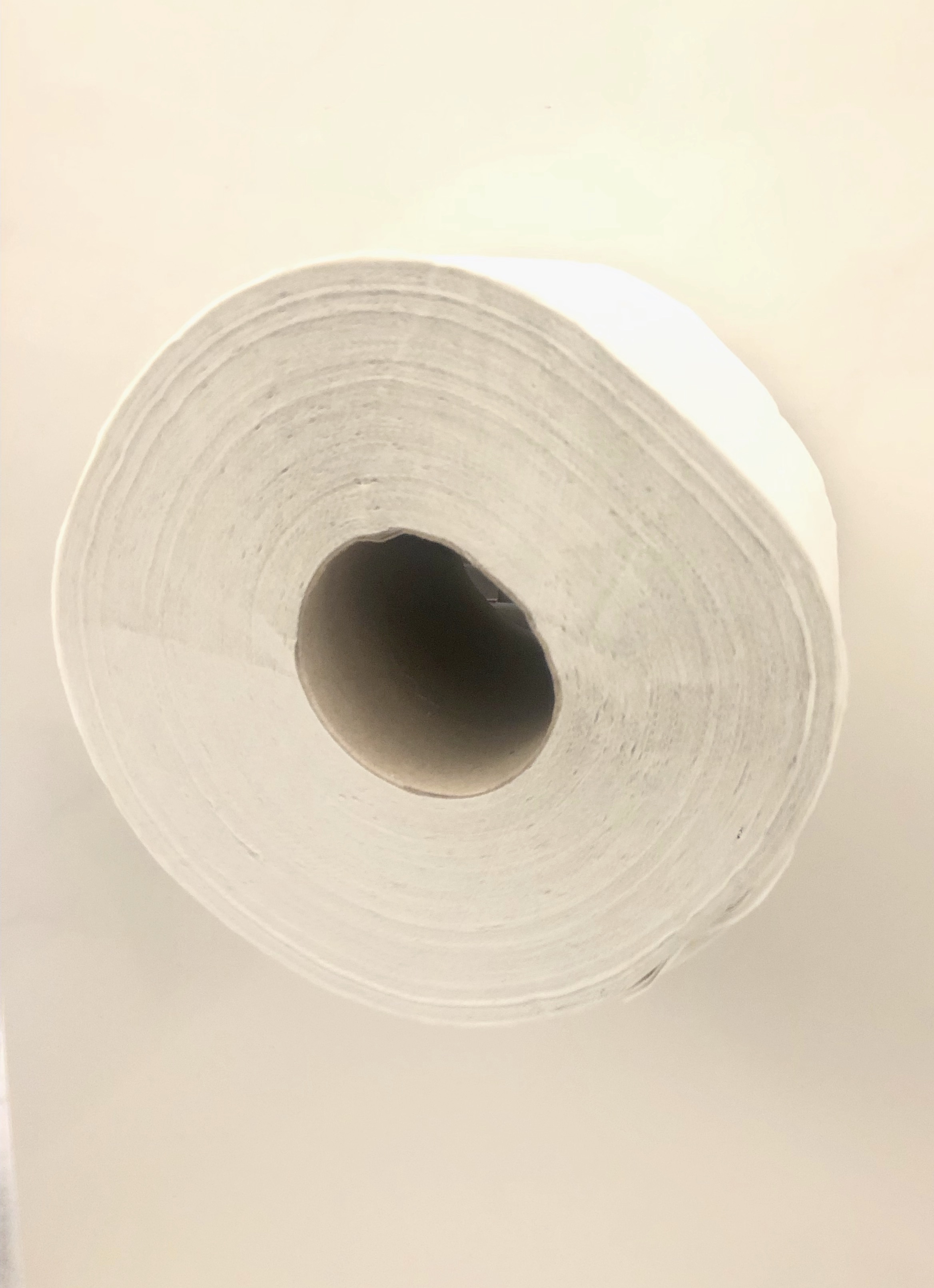 toilet paper replacement rolls holder (hidden) by kelehem | Download ...