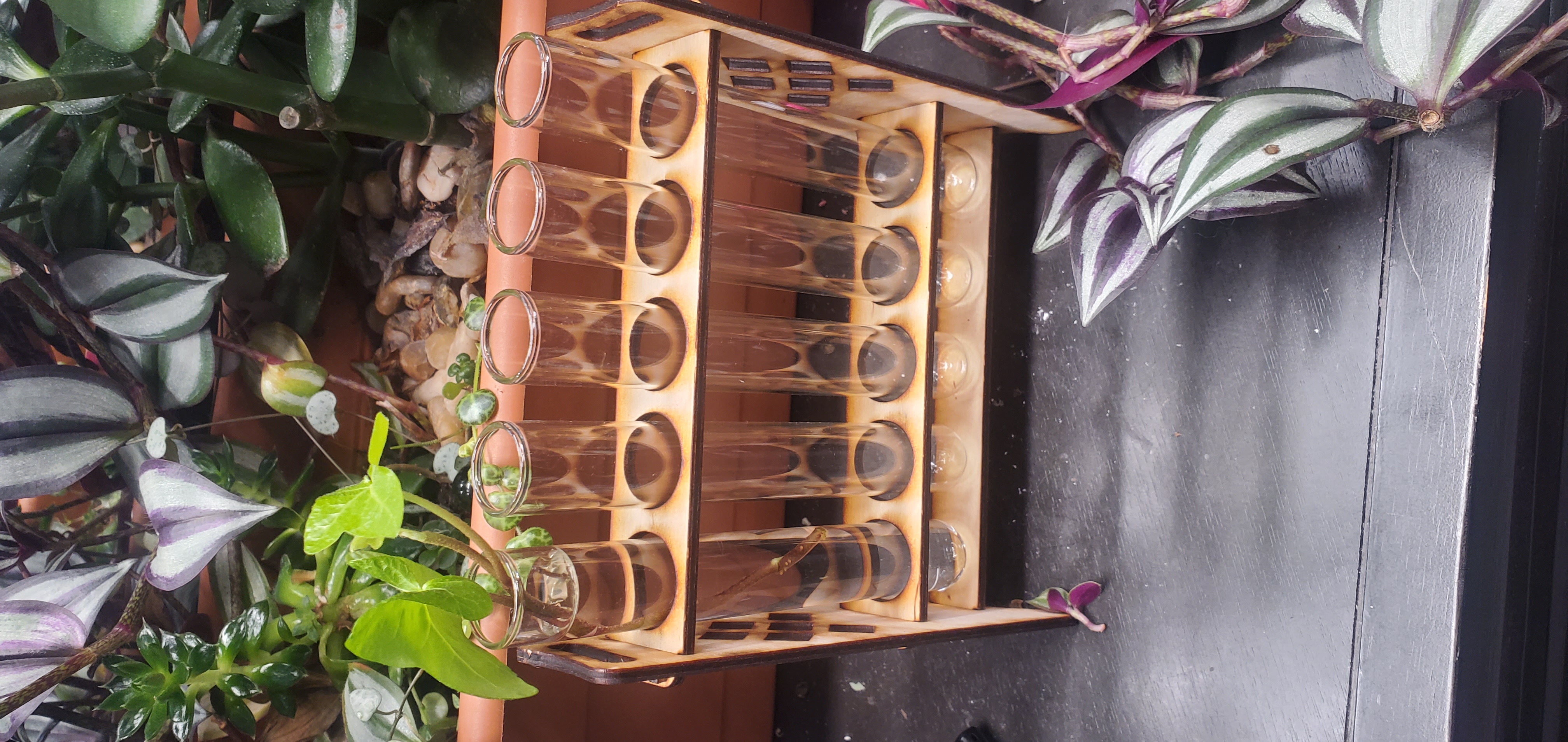 Laser cut plant propogation station test tube holder by traverseda ...