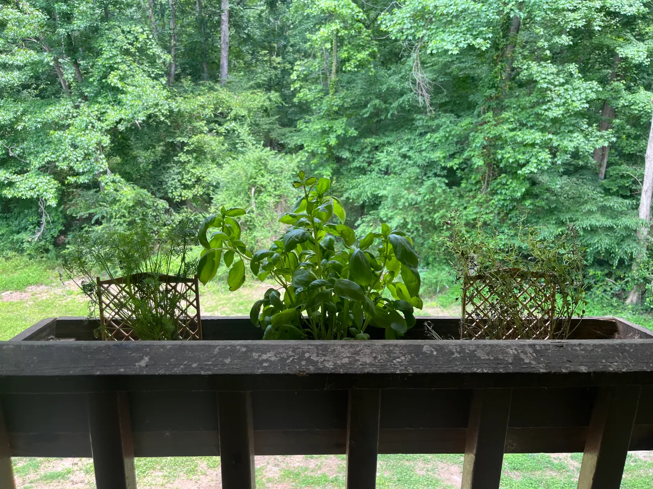 Miniature Lattice for Plant Support by Peterson Daughtry | Download ...